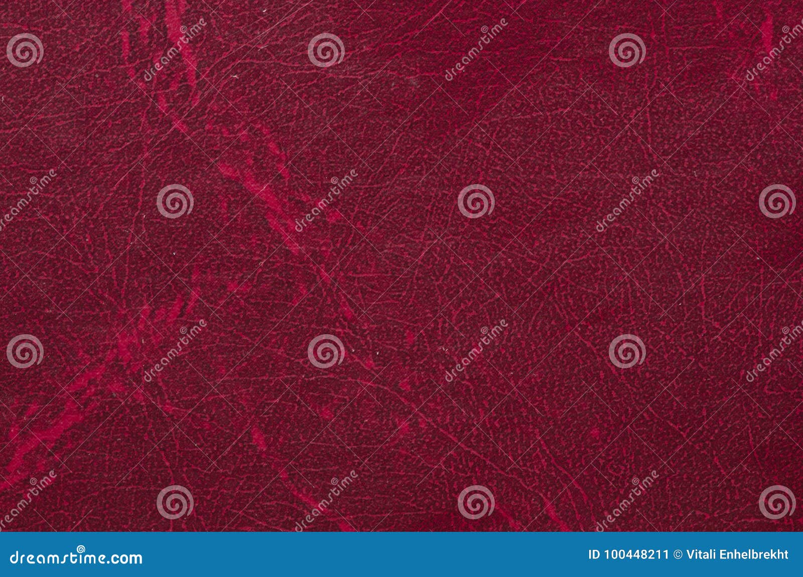Closeup texture of skin. stock image. Image of color - 100448211
