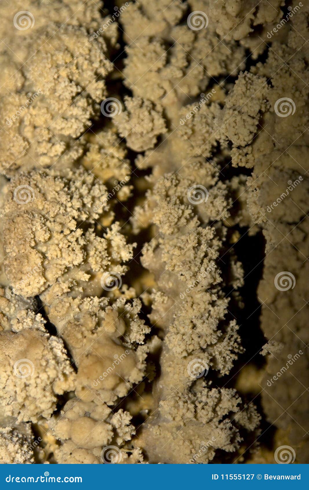 Closeup of Texture on Stalactites Stock Image - Image of core, geology ...