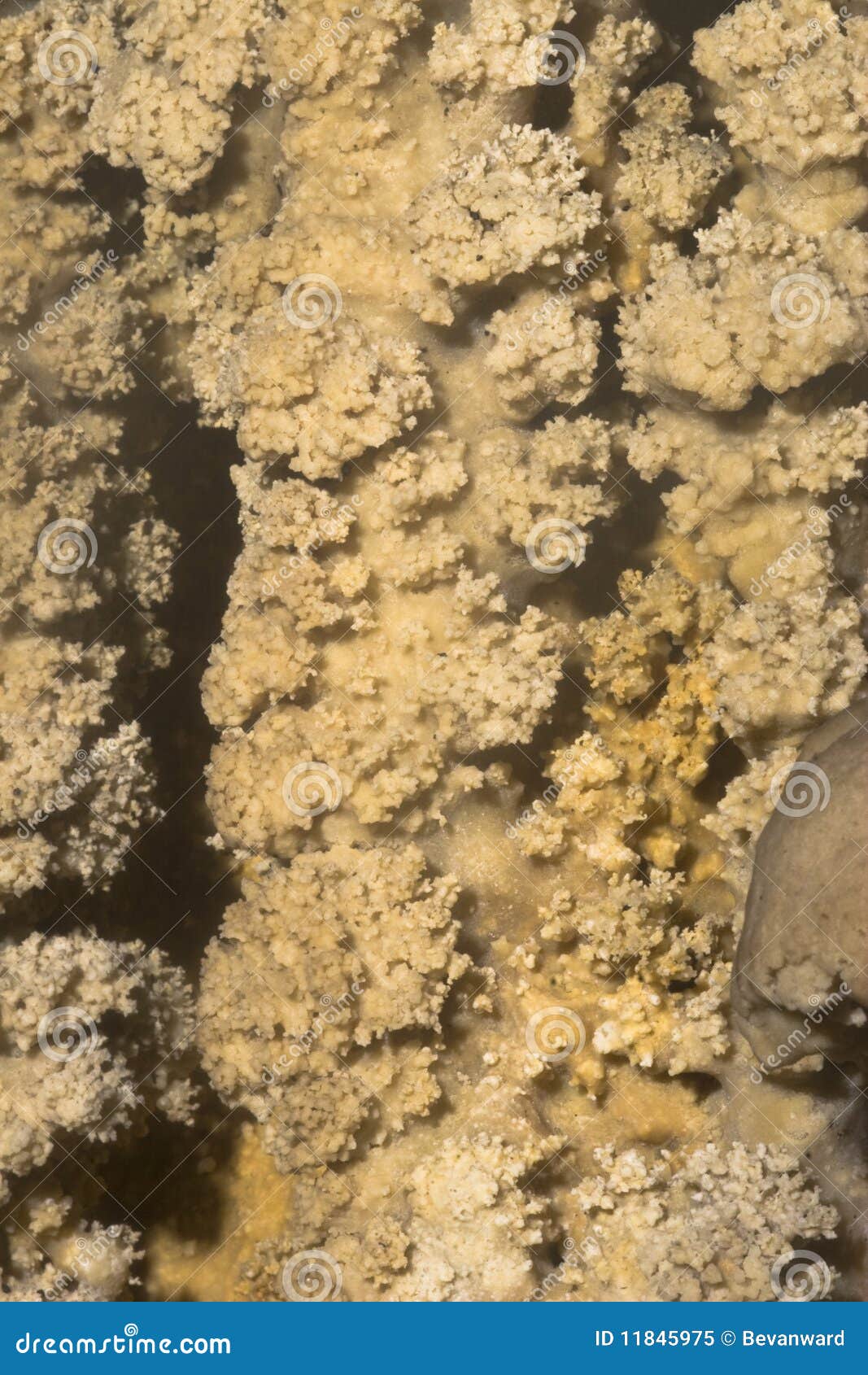 Closeup of Texture on Stalactites Stock Image - Image of mineral ...