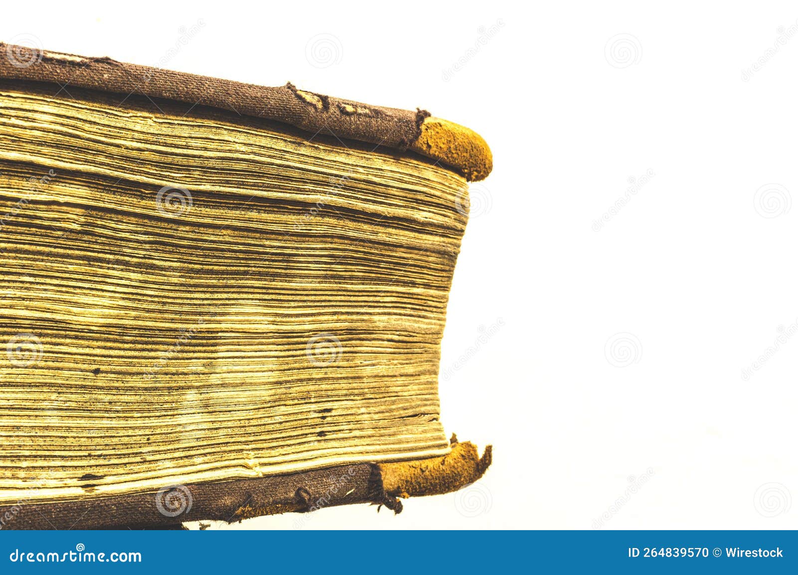 Closeup of the Texture of a Thick Book S Stack of Pages Stock Photo ...