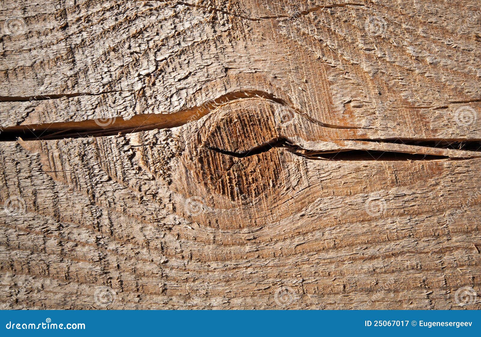 Closeup Texture of Uncolored Wooden Board Stock Image - Image of dirt ...