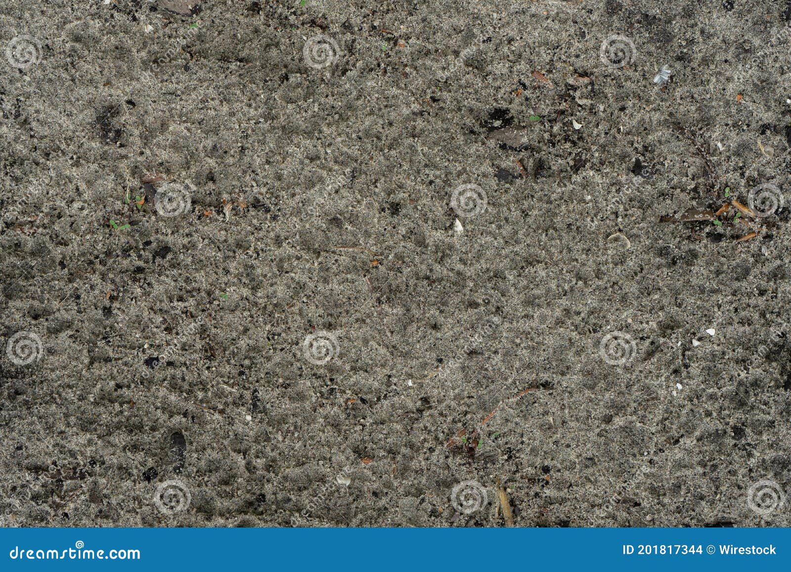 Closeup of Textured Bumpy Rock Surface with Spots Stock Photo - Image ...