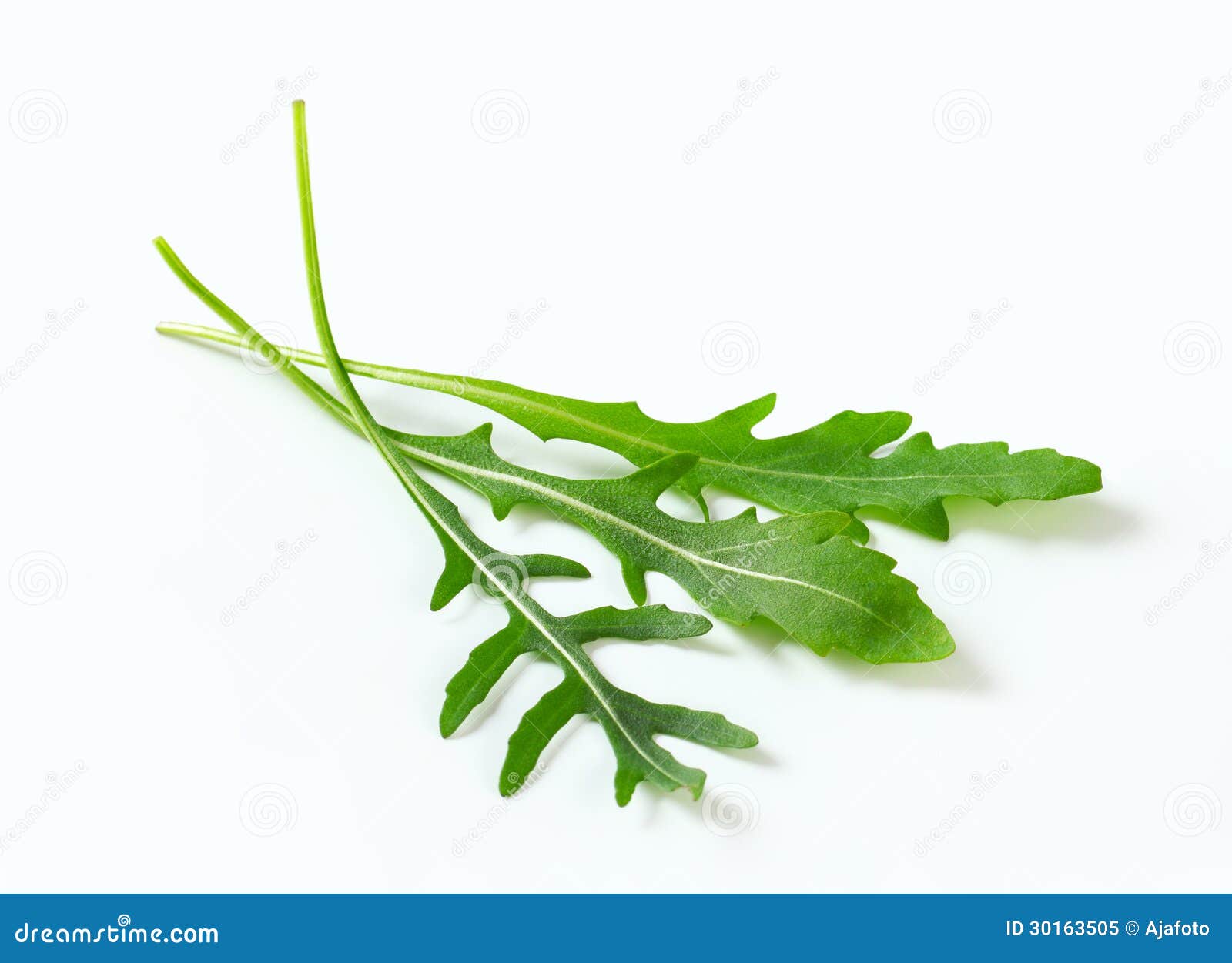 Rocket leaves stock image. Image of fresh, greens, roquette - 30163505