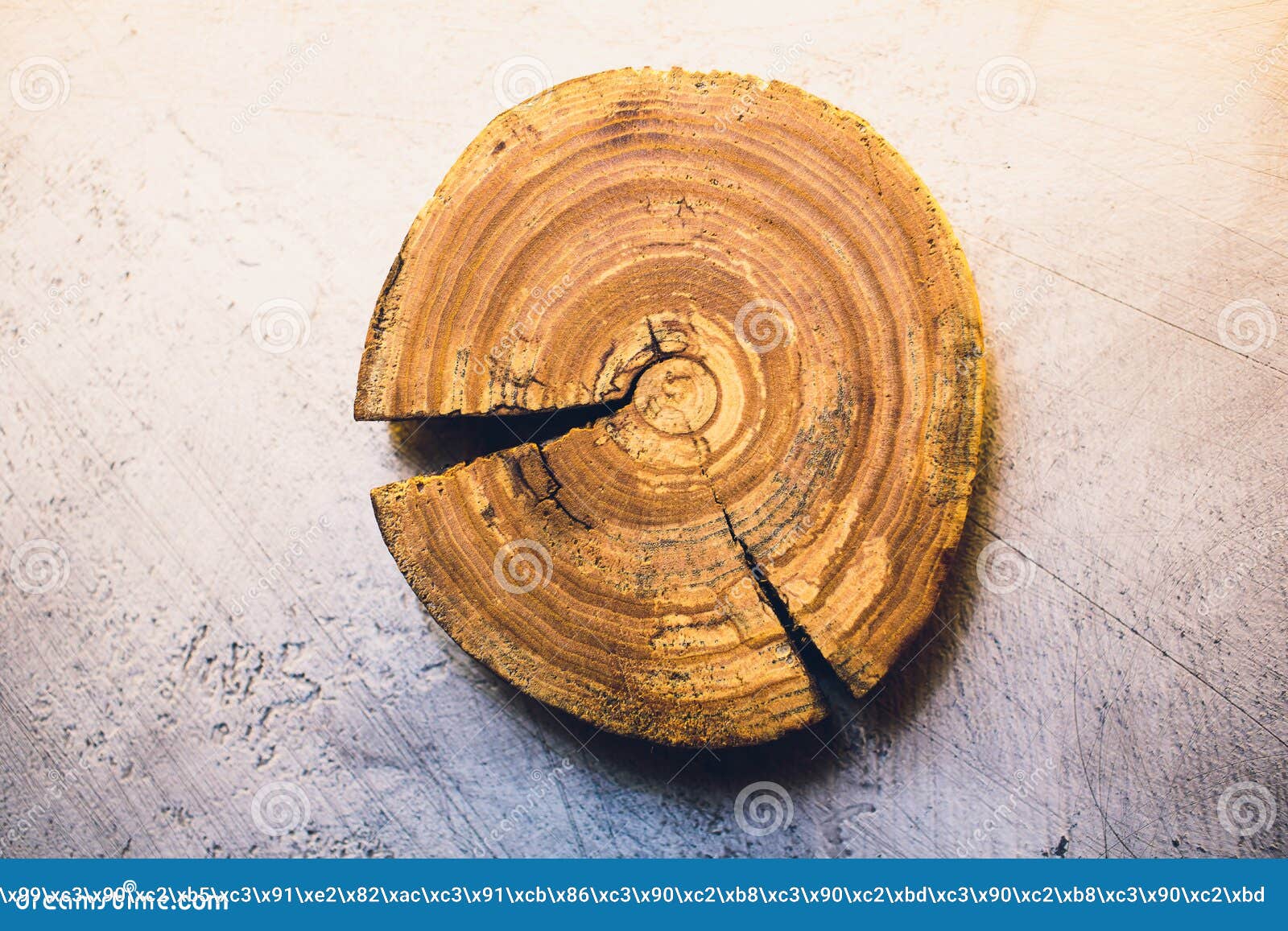 Closeup of Timber Log. Logs in Dark Background. Horizontal View. Stock ...