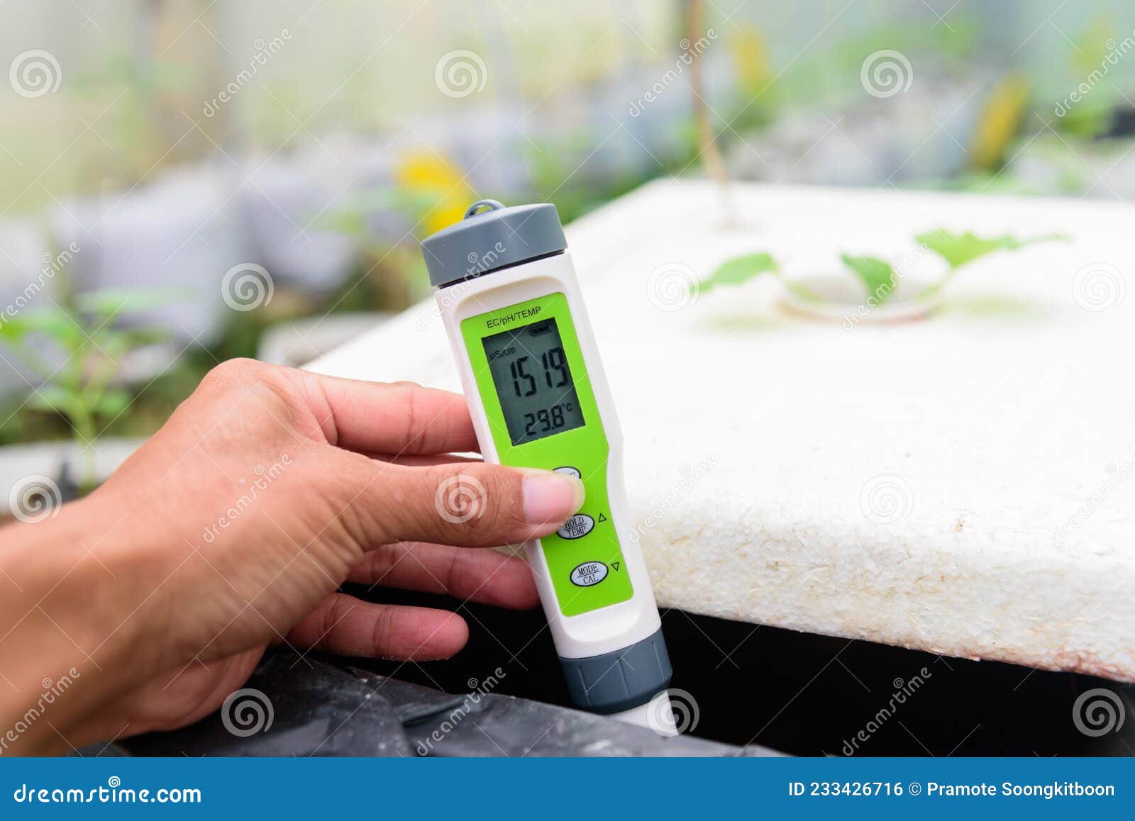 Check EC Value of of Water Bin of Hydroponics System Stock Photo ...