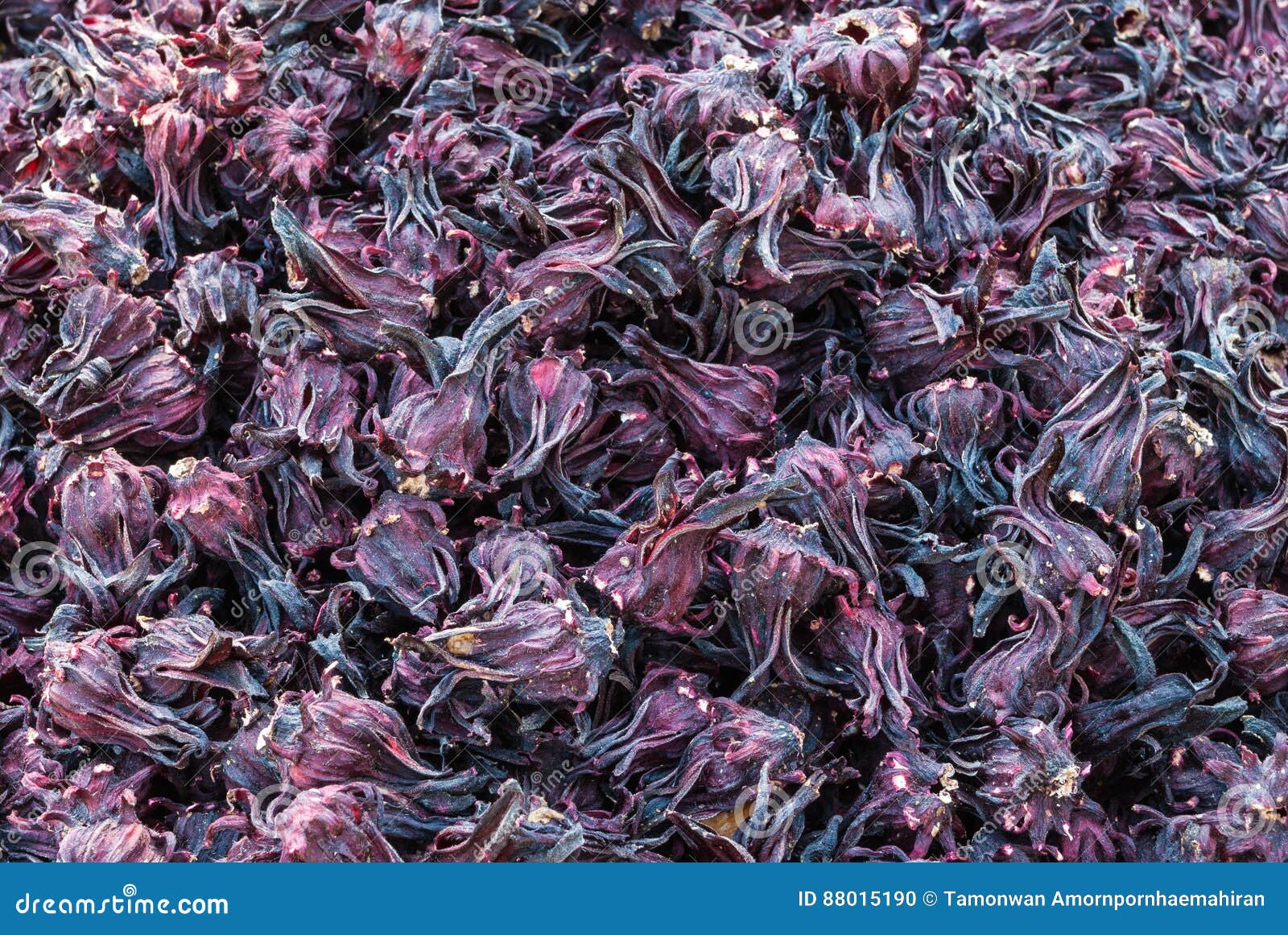 Closeup To Dried Roselle, Hibiscus Sabdariffa, Background Stock Photo ...