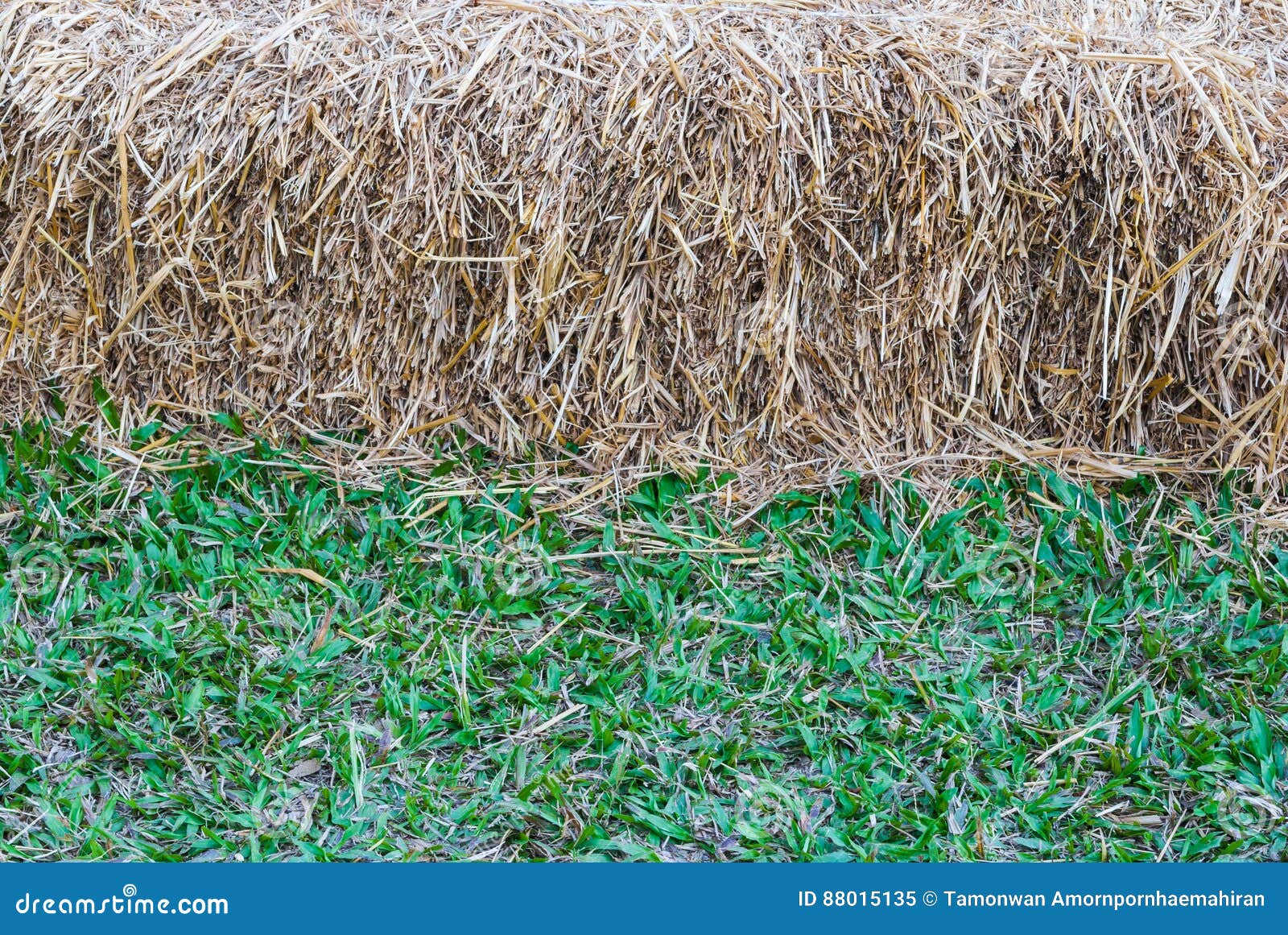 Closeup To Horizontal Half of Straw and Grass Background Stock Image ...