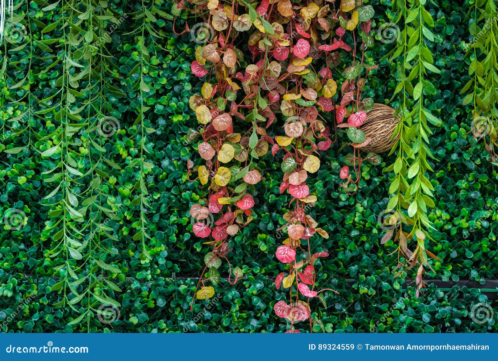 Closeup To Many Kind of Fresh Hanging Leaves Background Stock Image ...