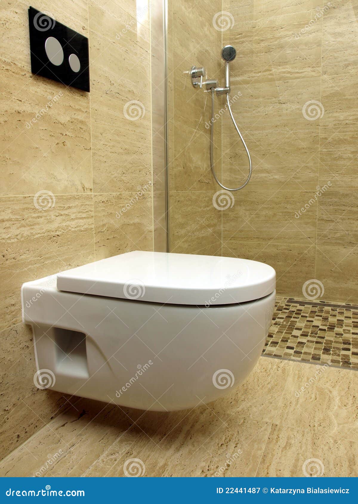 Closeup of Toilet in Modern Bathroom Stock Image - Image of pannel ...