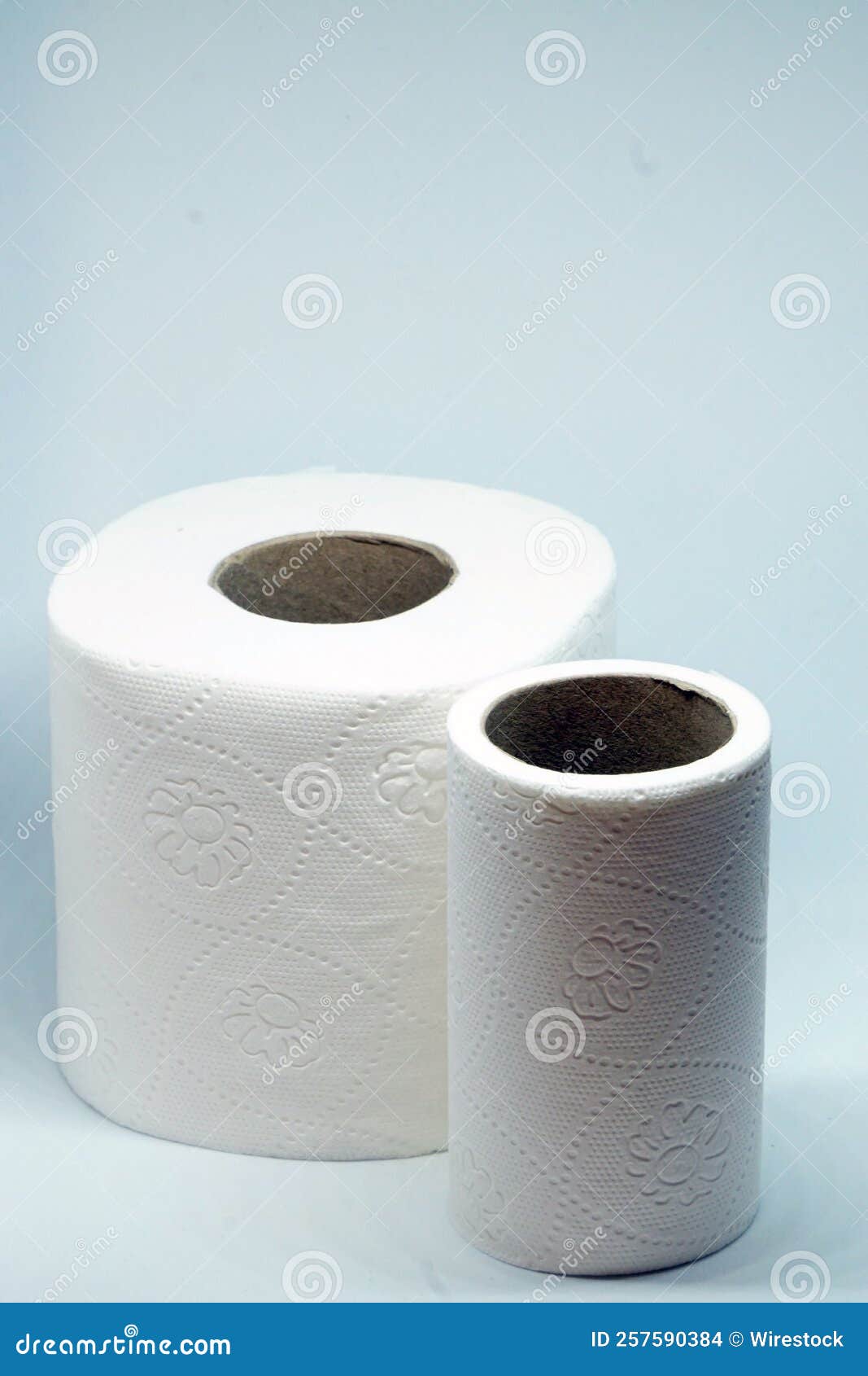 Closeup of Toilet Paper Rolls on White Background Stock Photo - Image ...