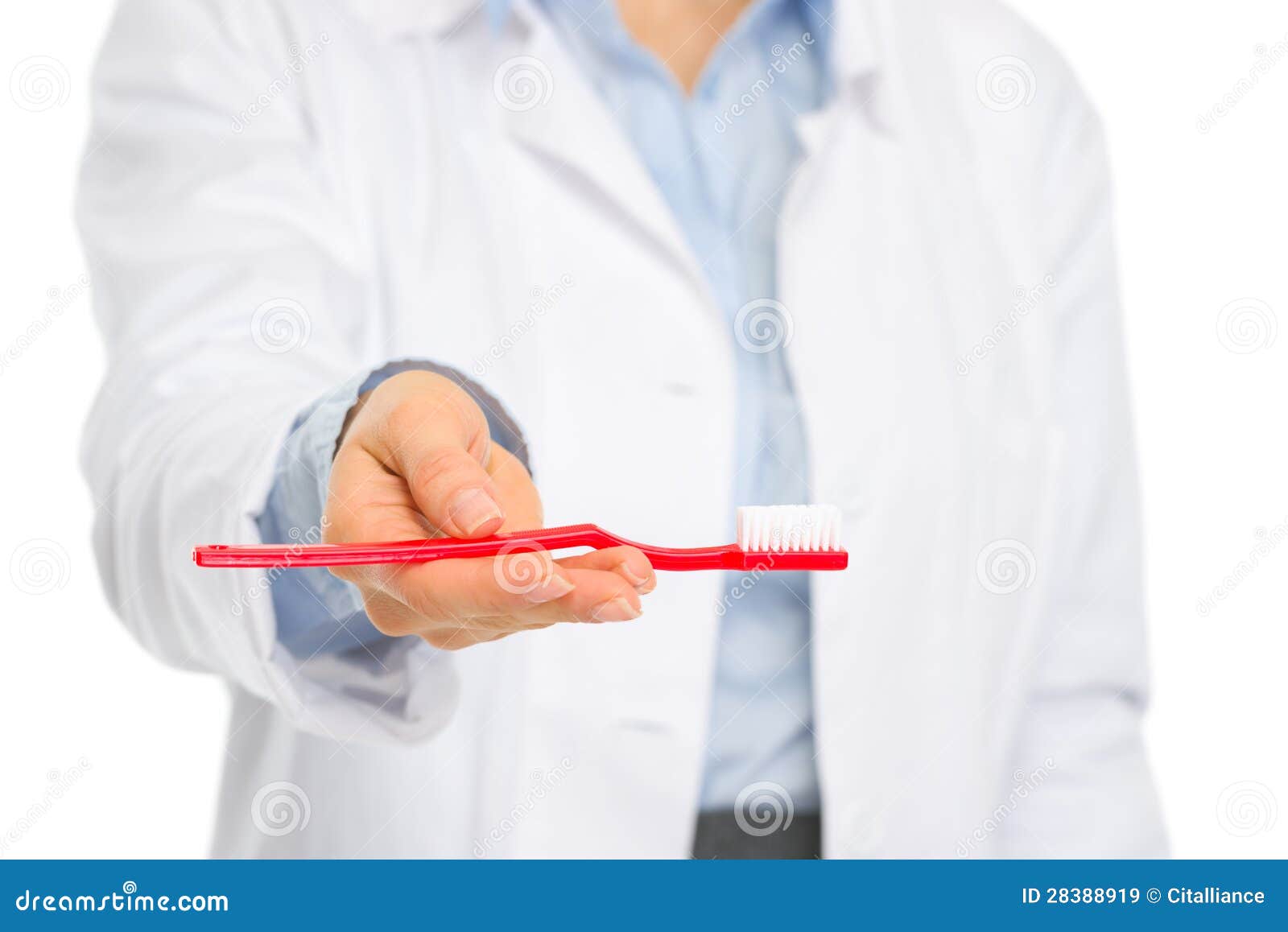 Closeup on Toothbrush in Hands of Dental Doctor Stock Image - Image of ...