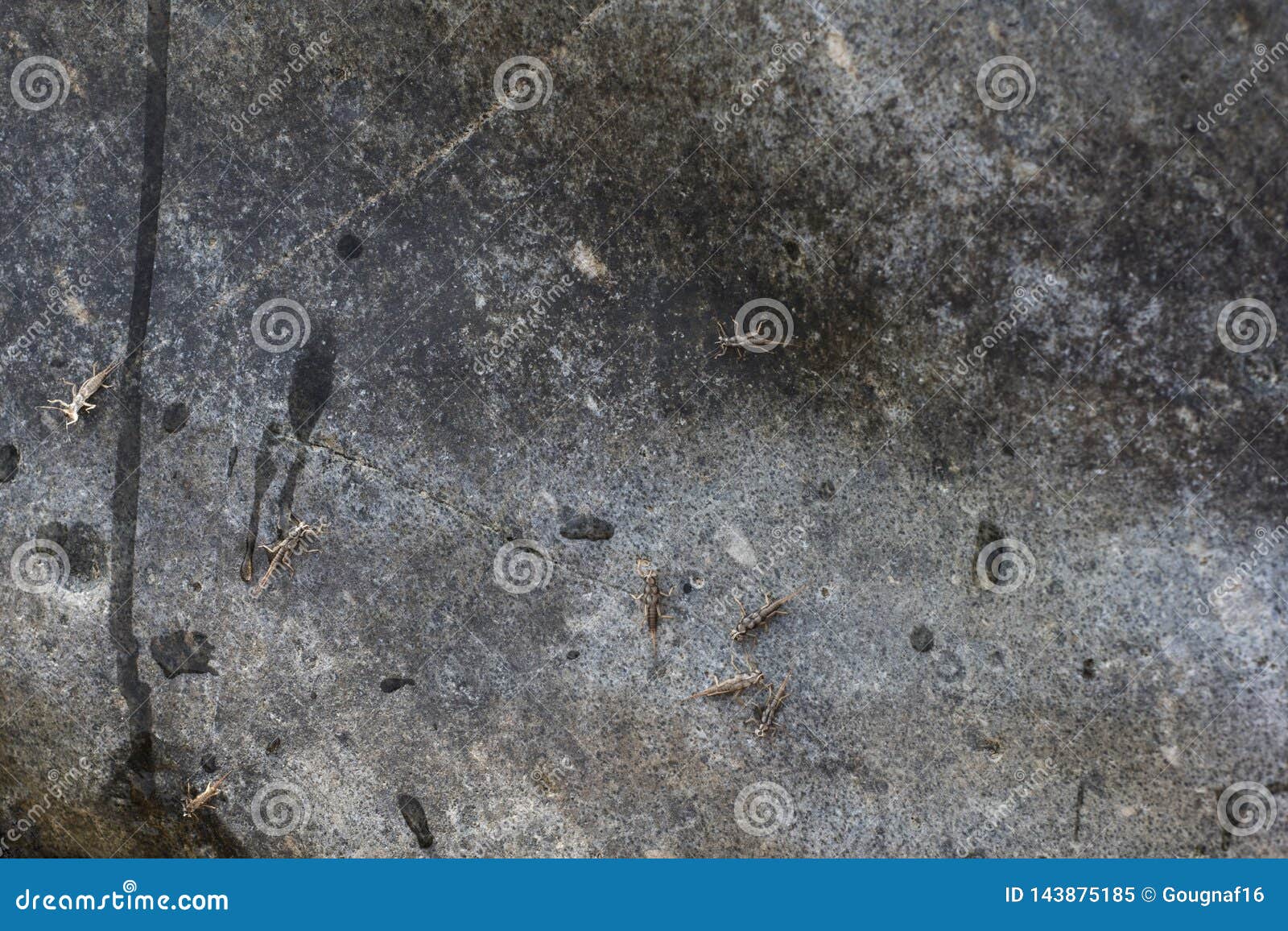 Closeup Top View of a Rock Surface Stock Image - Image of closeup ...