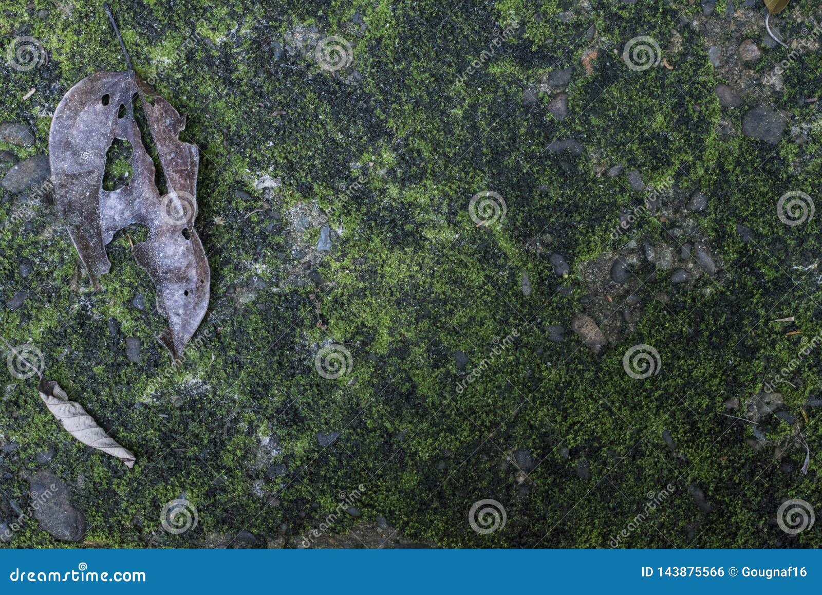 Closeup Top View of a Rock Surface Stock Photo - Image of ocean ...