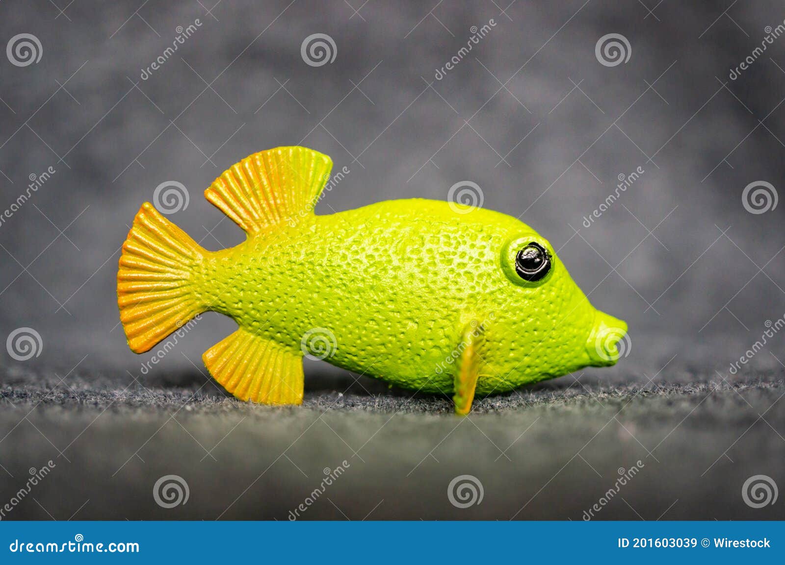 Closeup of a Toy Figurine of a Yellow Tang Stock Image - Image of ...