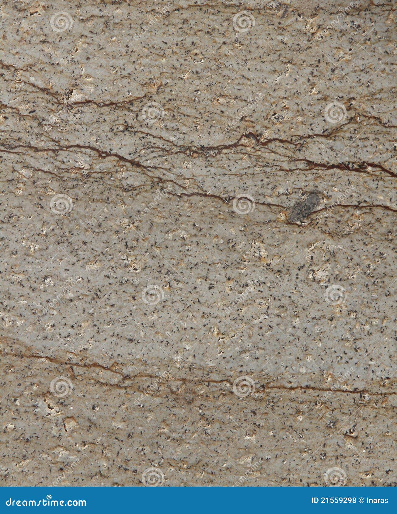 Closeup of Trachyte from Westerwald Stock Photo - Image of closeup ...