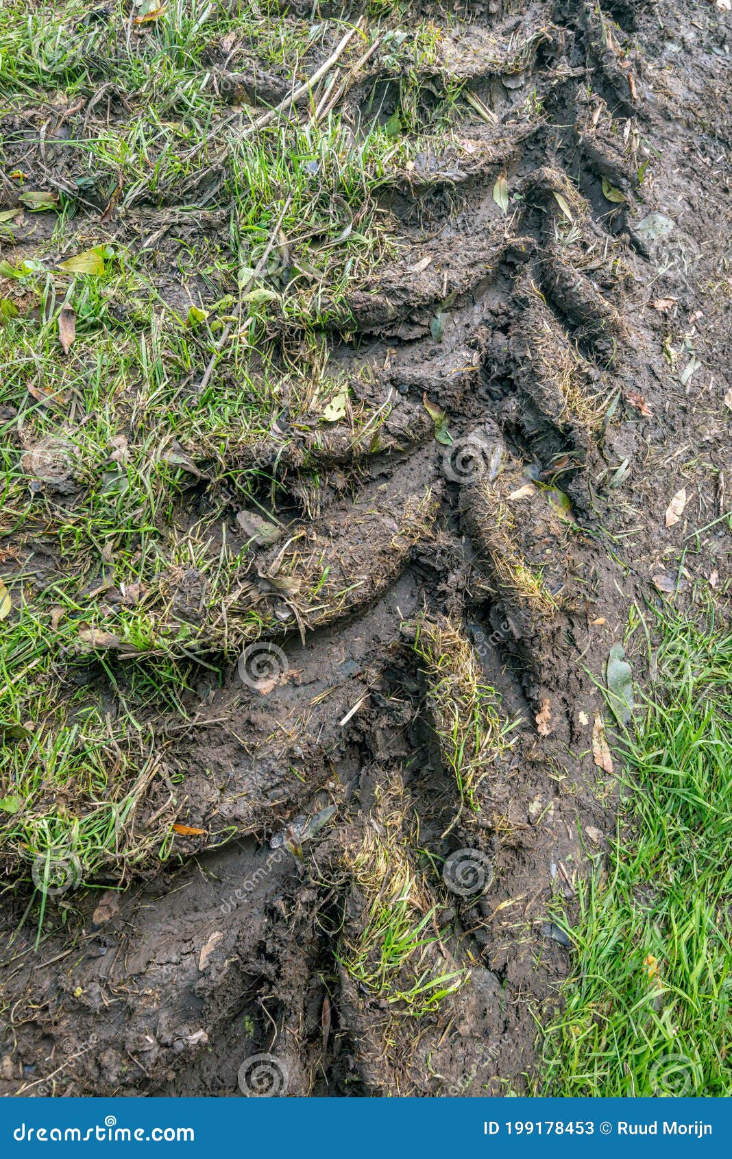 Closeup of Tractor Tracks in Rough Terrain Stock Image - Image of dutch ...