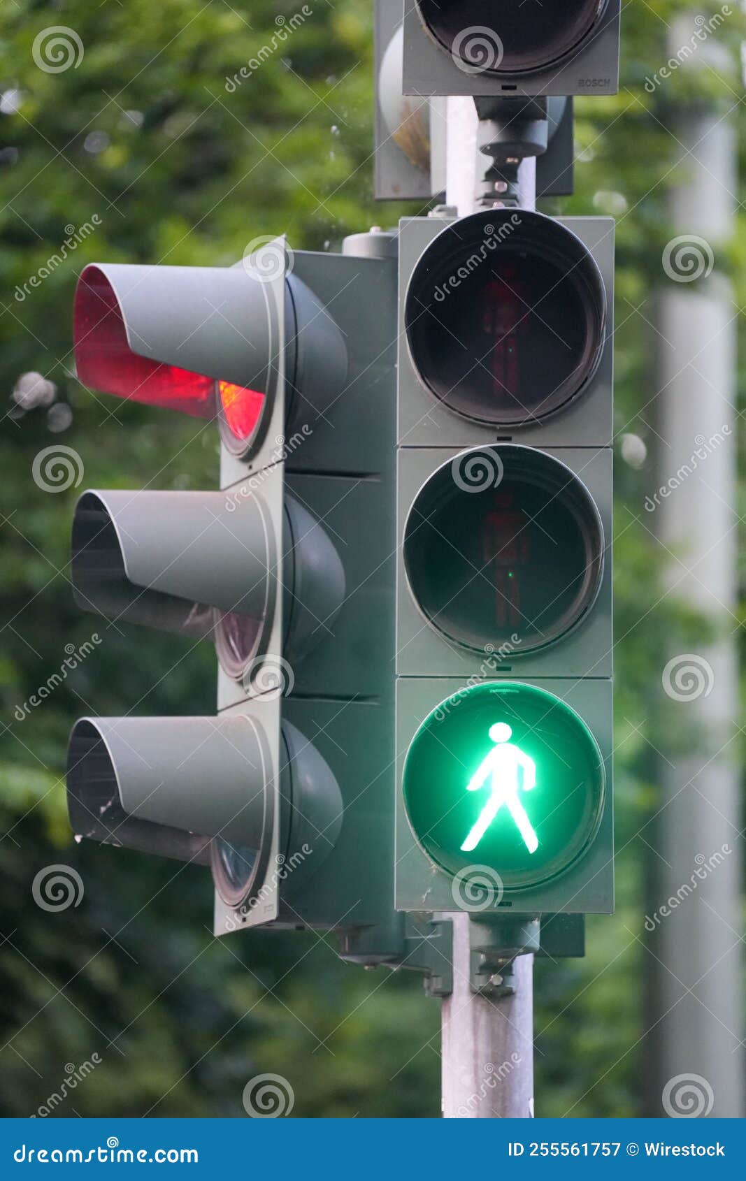 Closeup of a Traffic Light with the Walking Sign on Stock Image - Image ...