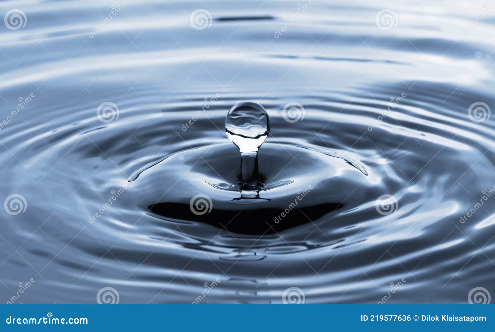 Closeup of Transparent Water Droplet on Water Ring Surface , Natural ...