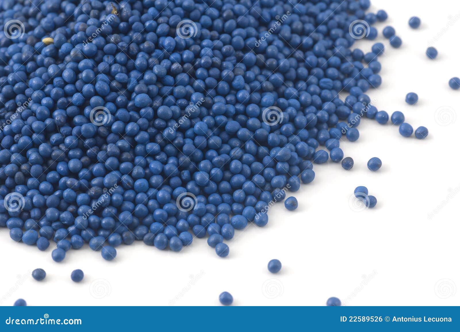 Closeup of Treated Broccoli Seed Stock Photo - Image of healthy ...