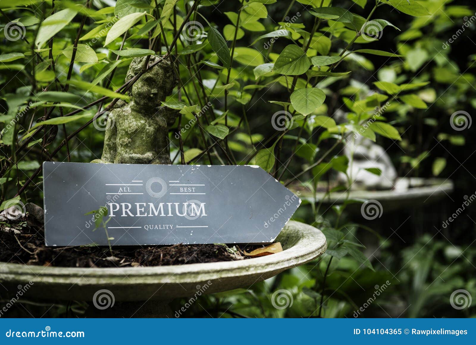 Closeup of Tree Label with Design Space Stock Image - Image of mockup ...