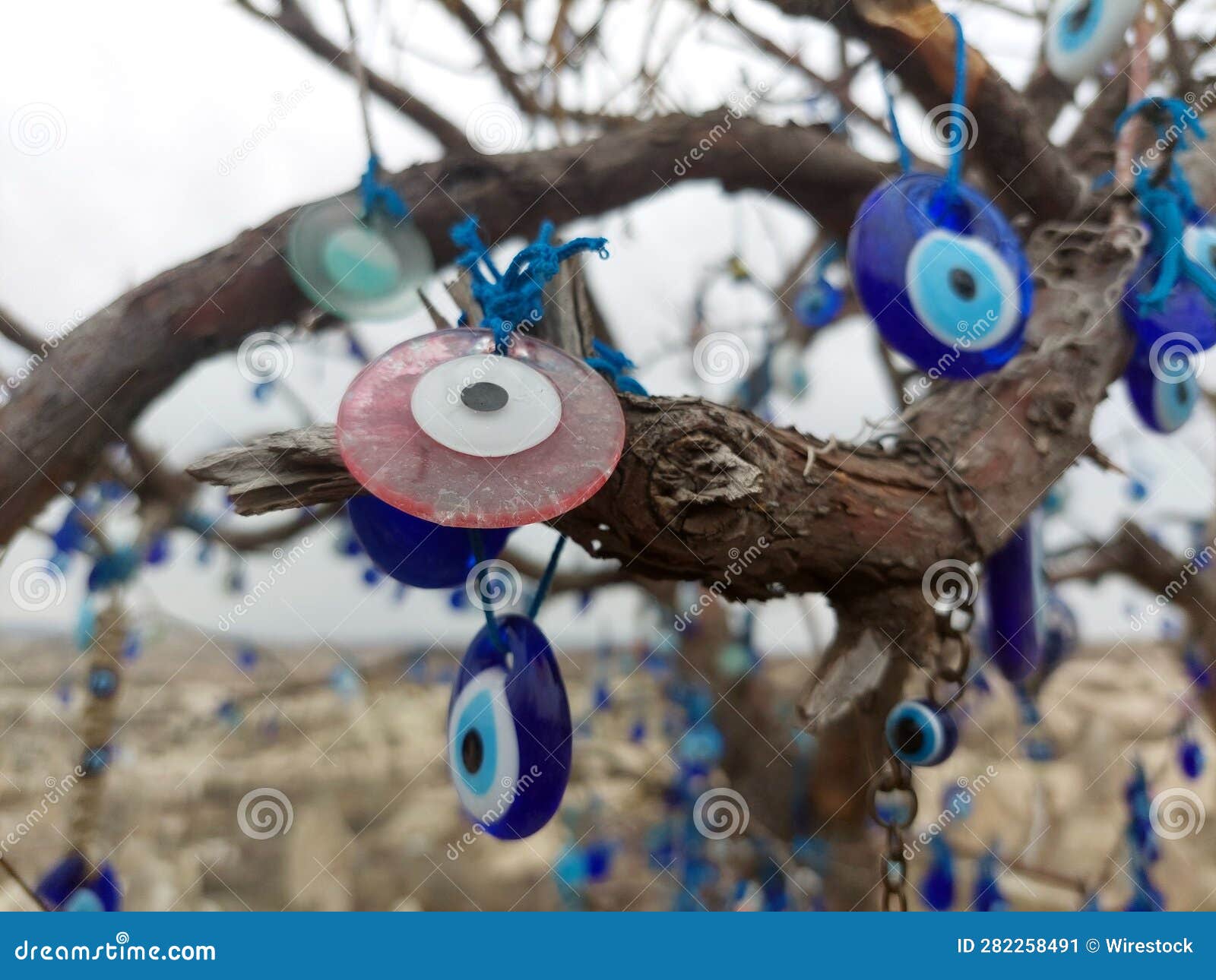Closeup of Tree with Multiple Blue Evil Eye Charms Hanging from it ...