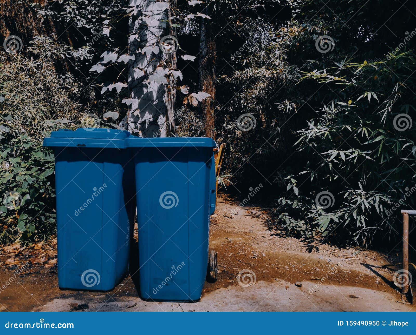 Closeup of Two Blue Garbage Cans Stock Photo - Image of plastic ...