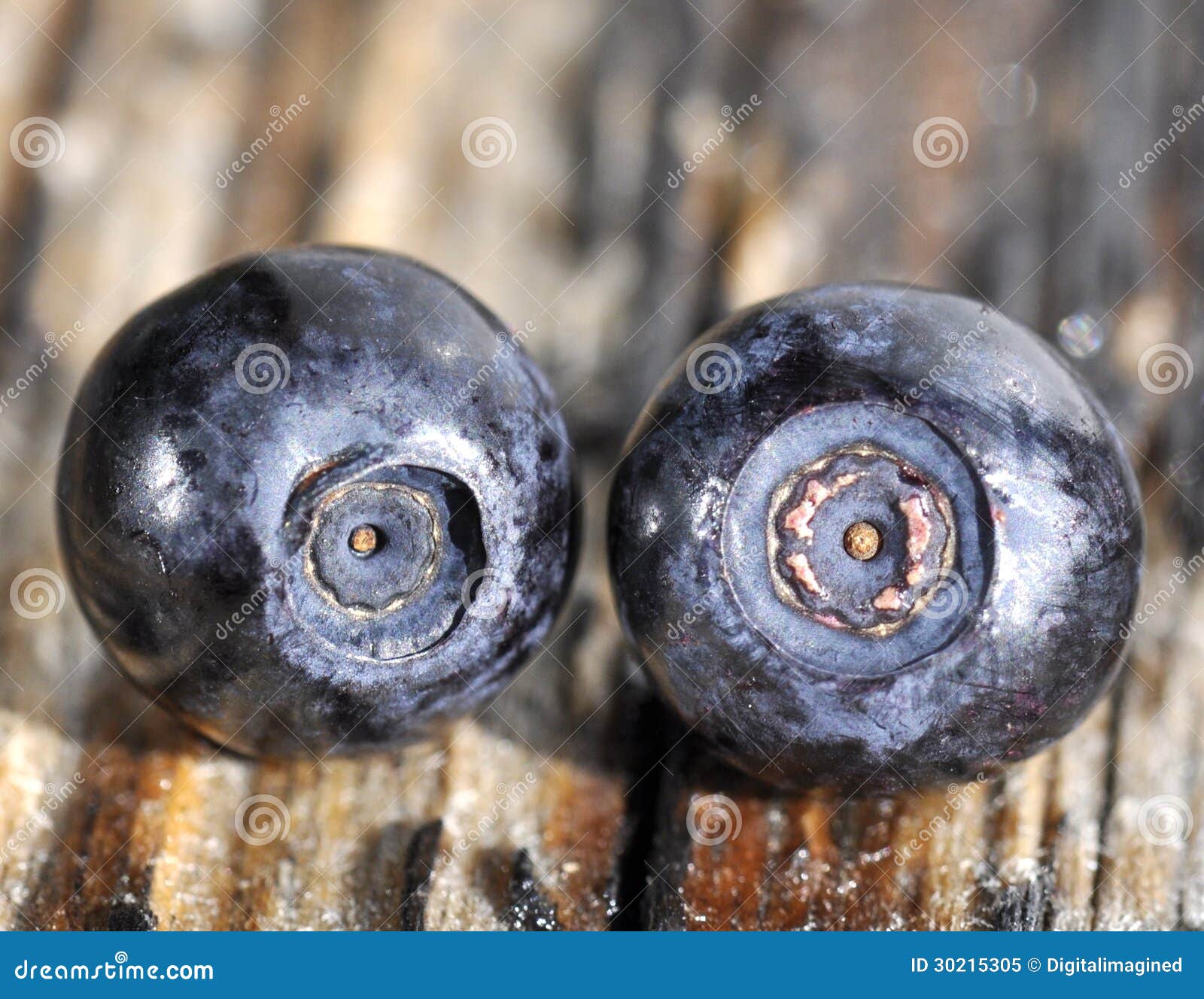 Two blueberries stock image. Image of vaccinium, juicy - 30215305