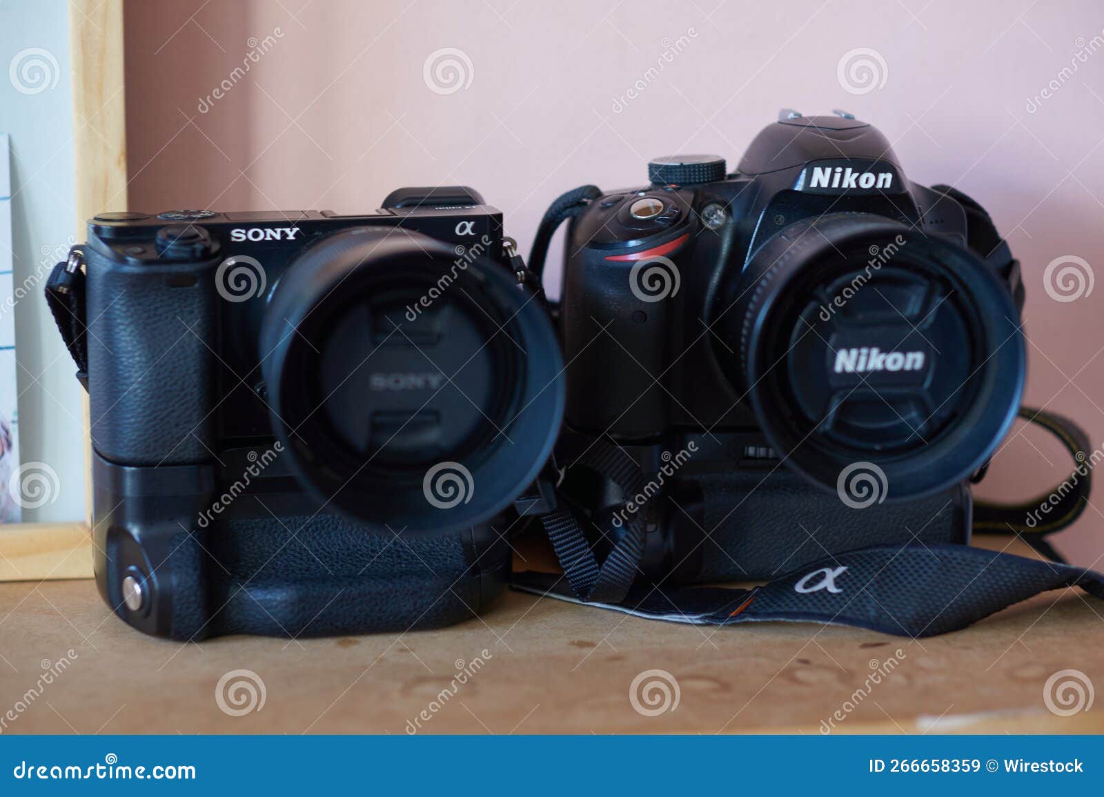 Closeup of Two Camera Models. Mirrorless Camera Versus DSLR Camera ...