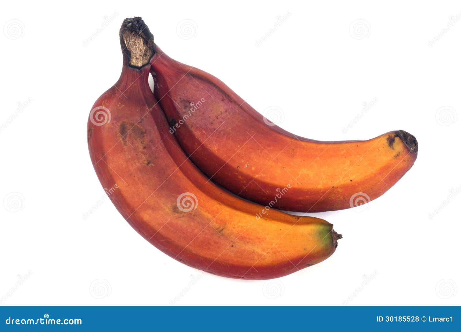 Red Caribe Bananas stock photo. Image of honduras, america - 30185528