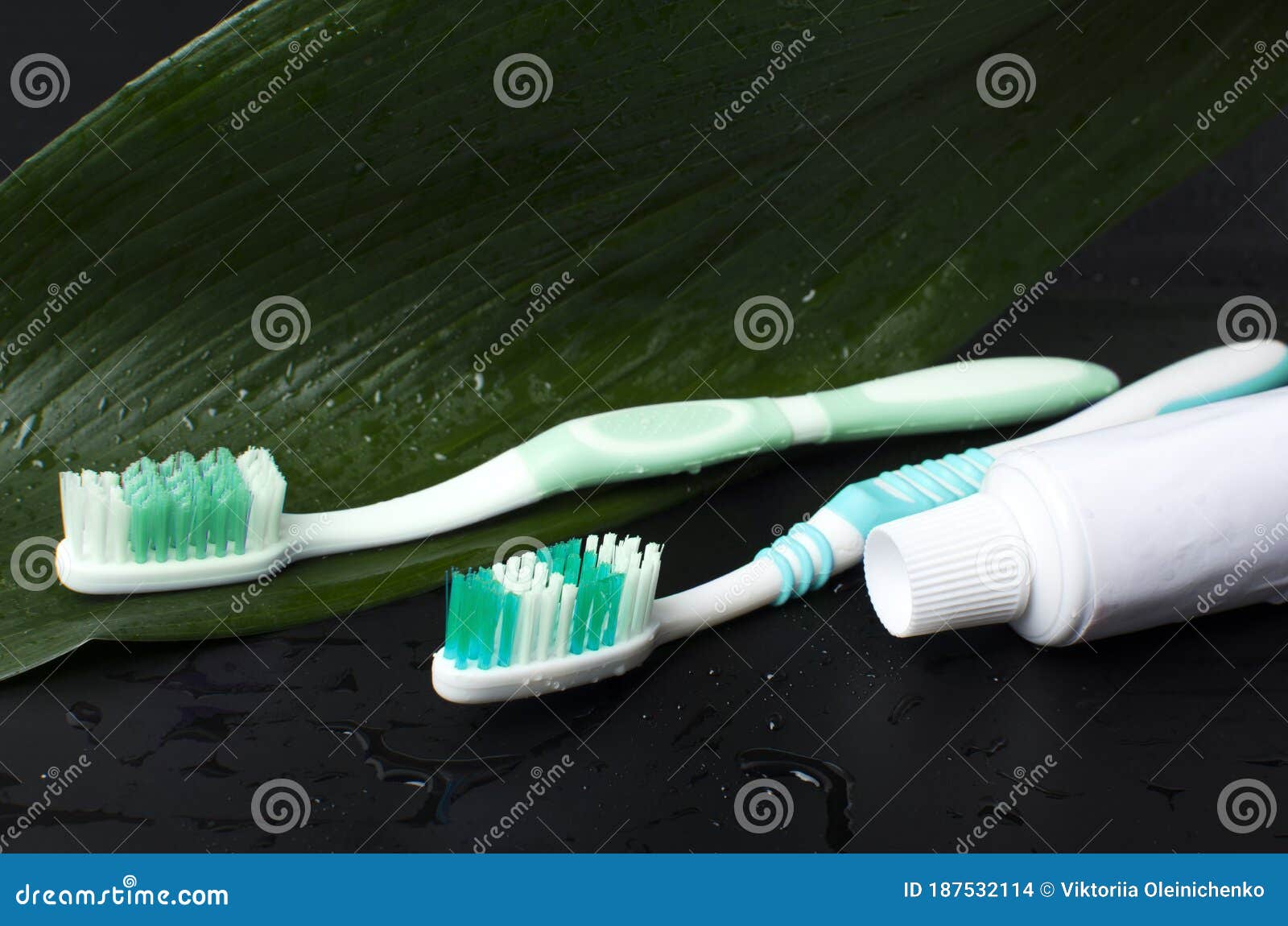 Closeup of Two Green Toothbrushes, Toothpaste and Green Wet Leaf on the ...