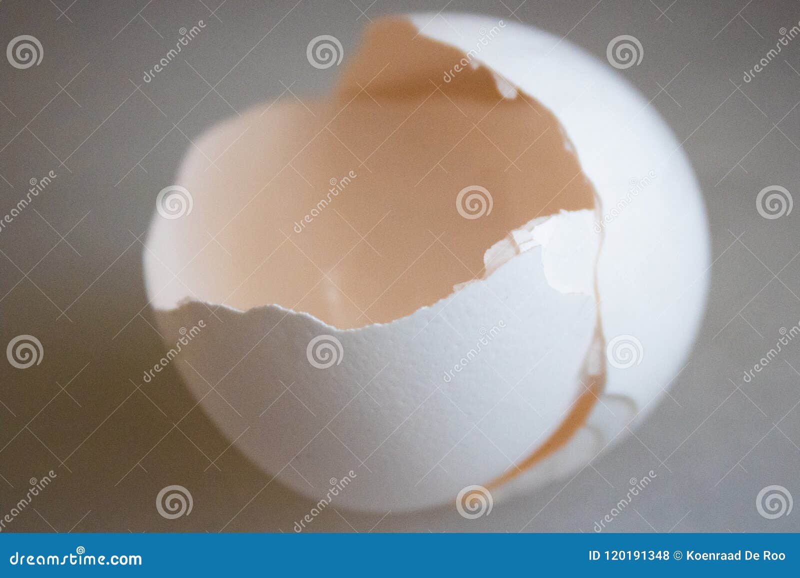 Semi Stacked Half Egg Shells Stock Photo - Image of single, eggshell ...