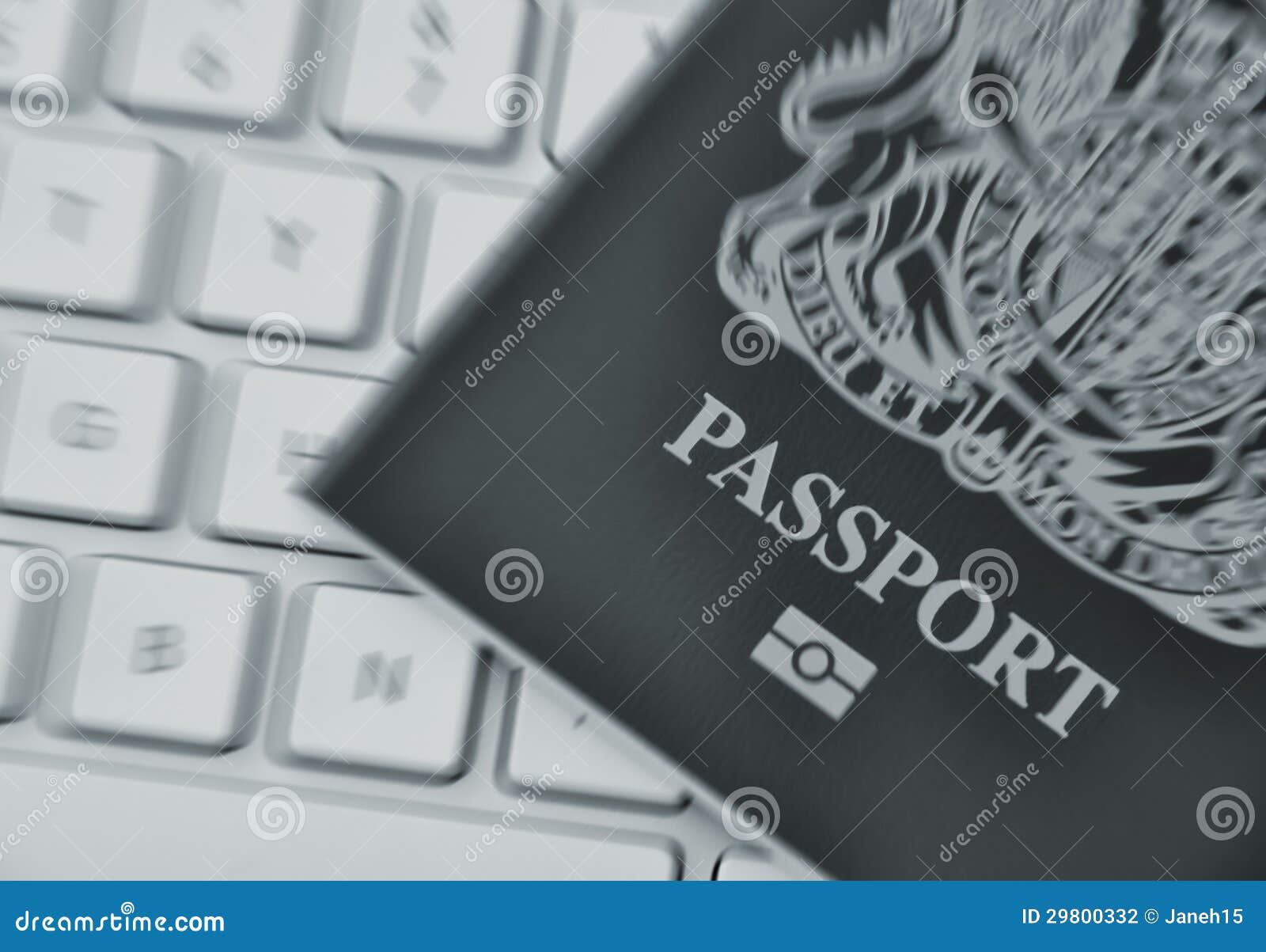 Online travel stock photo. Image of identity, citizenship - 29800332
