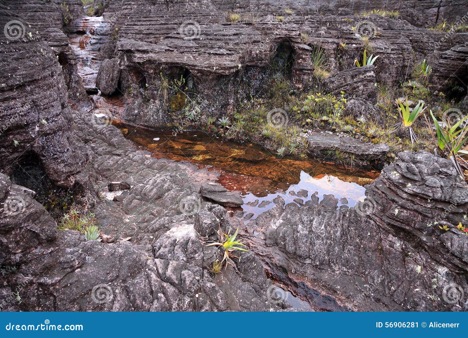 Mount Roraima Pools