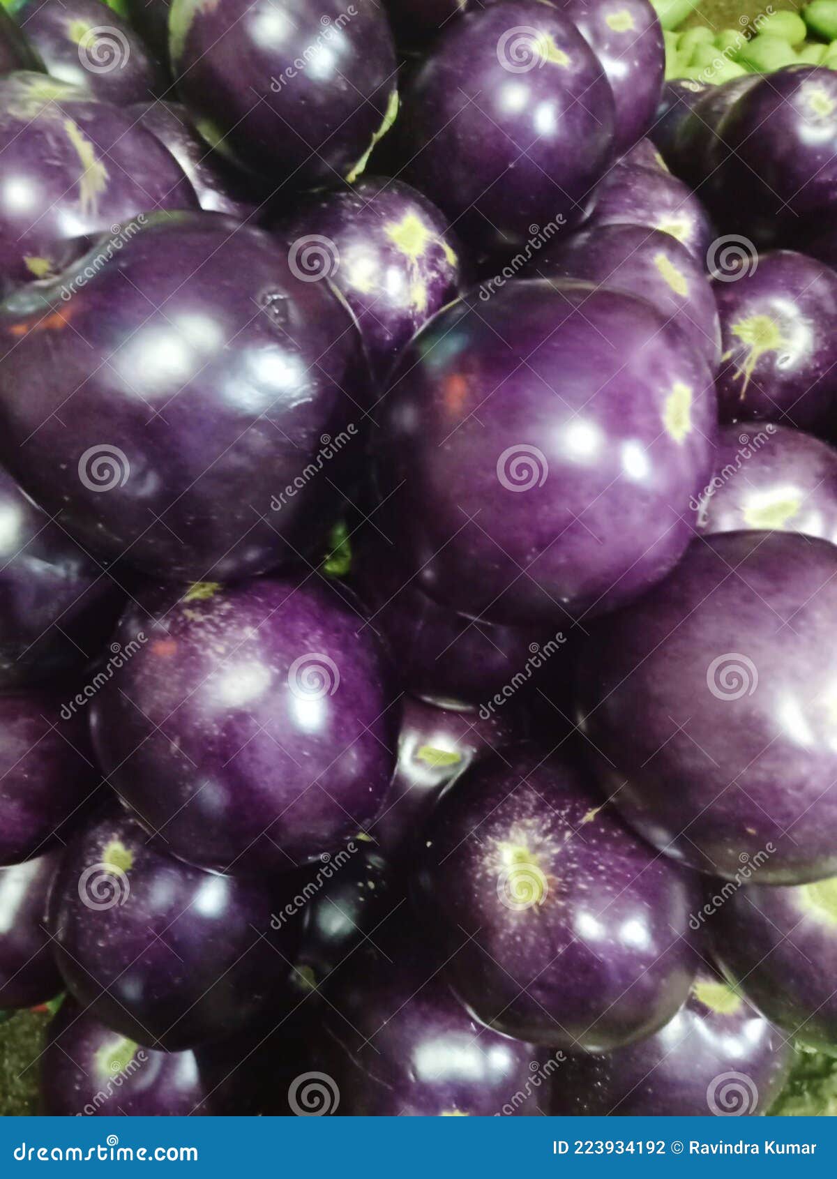 Closeup of Vegetables - Brinjal Stock Photo - Image of sale, display ...