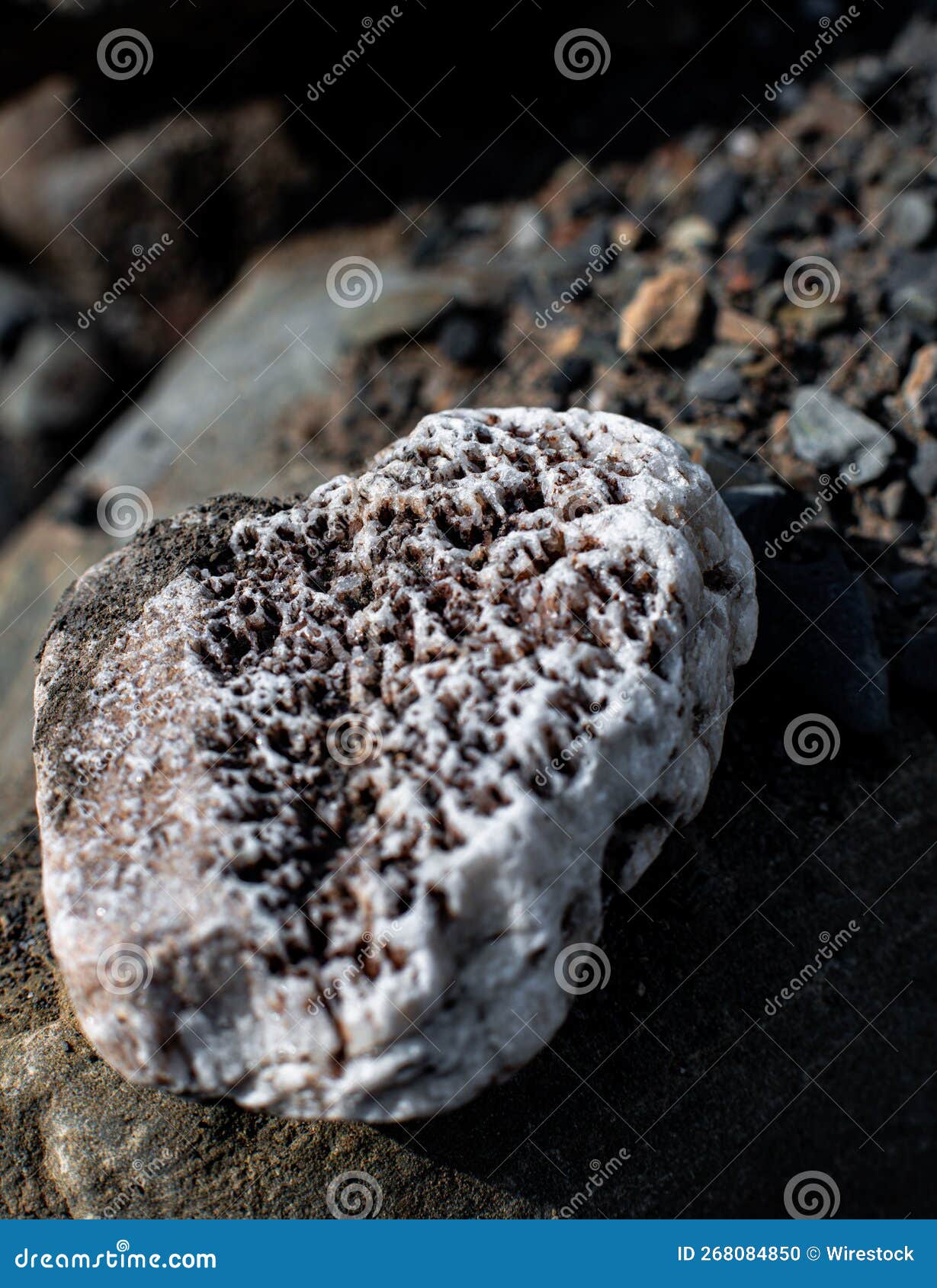 Closeup View of a Beautiful Rock Stock Photo - Image of detail, mineral ...