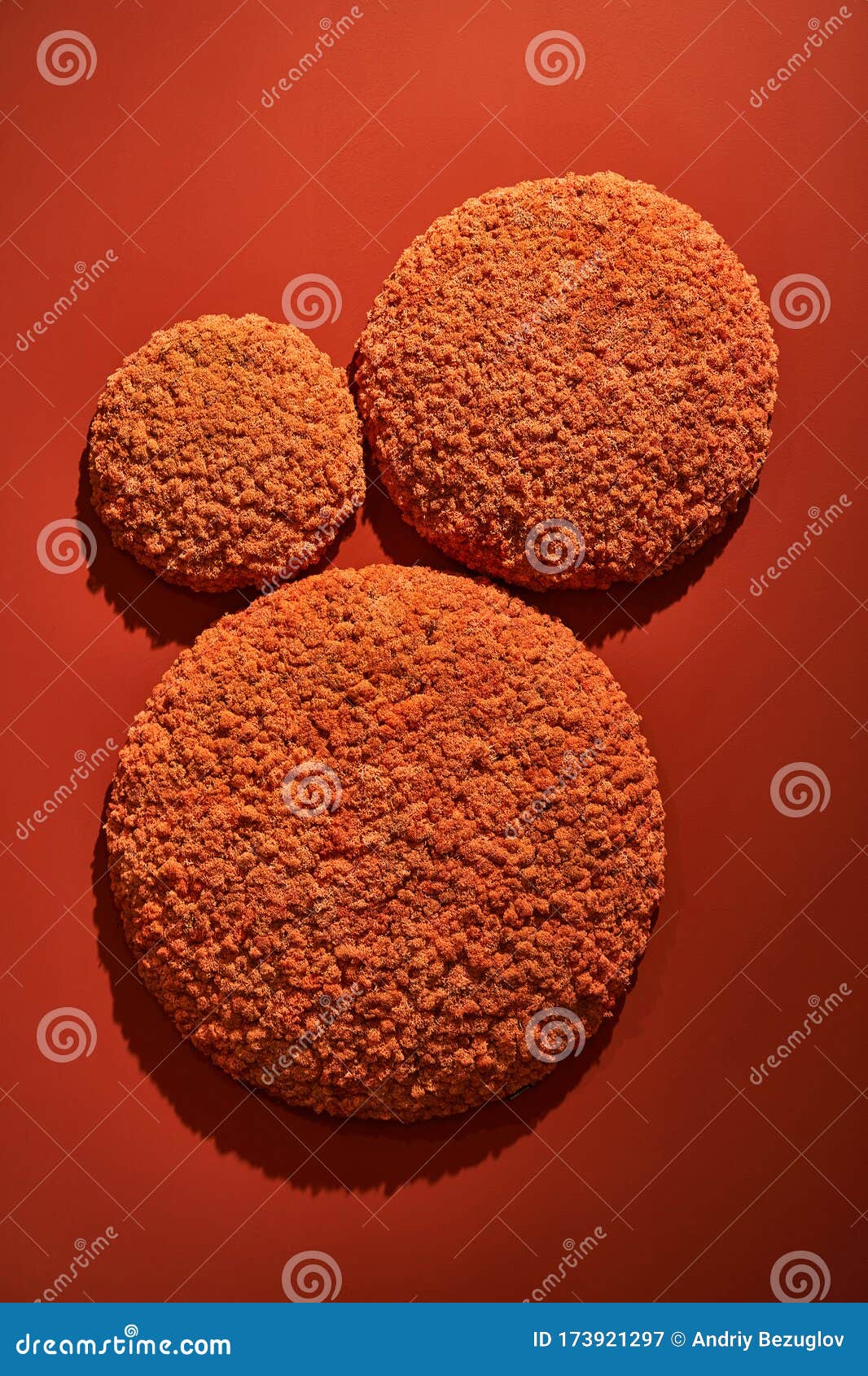 Closeup View at Bright Spongy Round Objects Stock Image - Image of ...