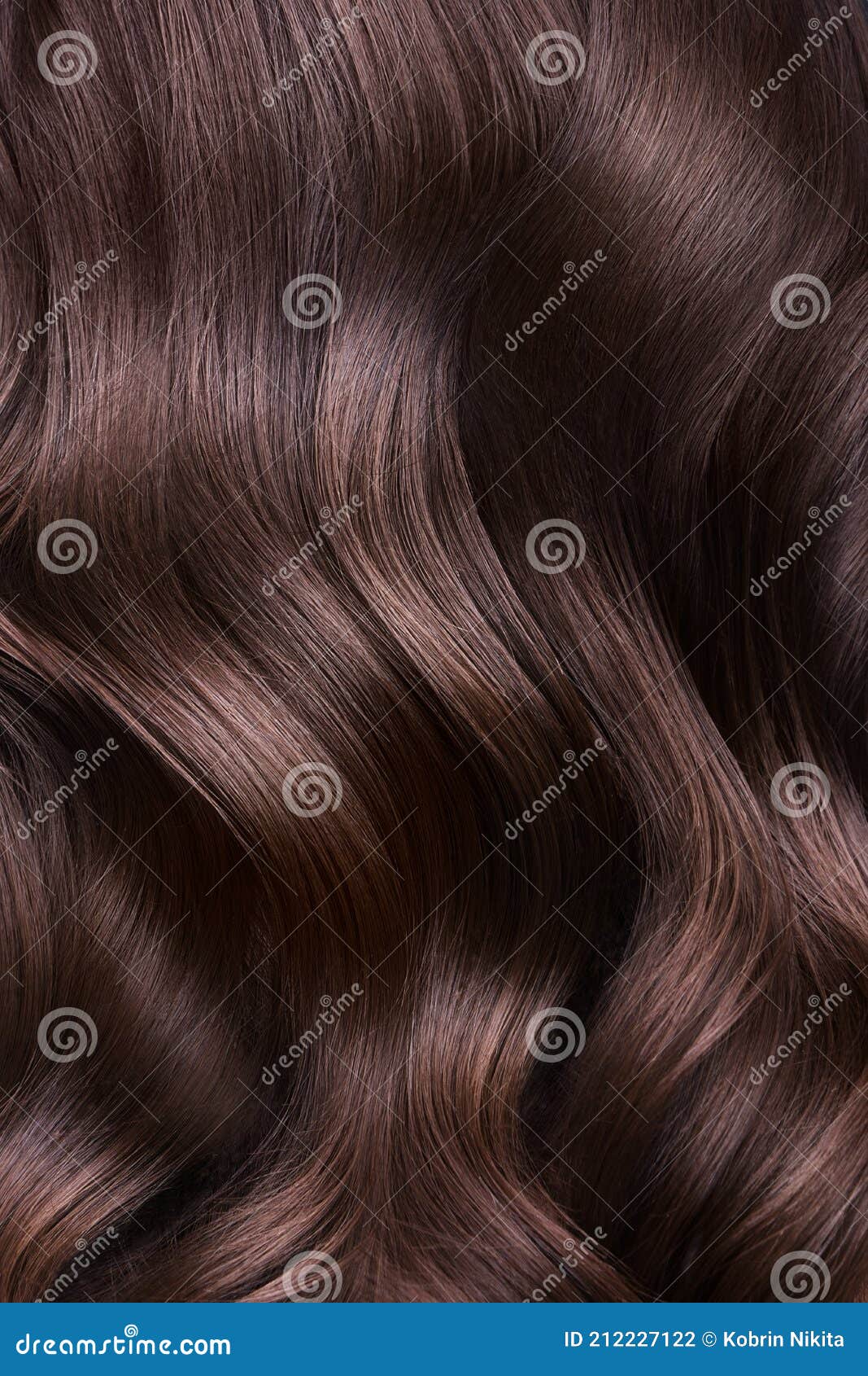 A Closeup View of a Bunch of Shiny Curls Brown Hair Stock Photo - Image ...