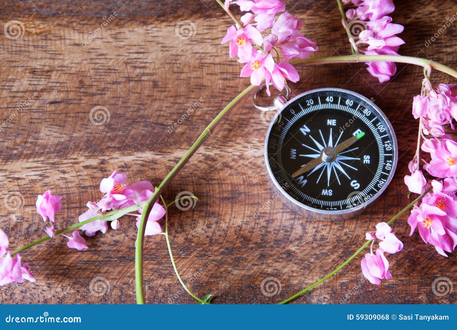 Closeup View of the Compass on the Table with Pink Flowers Stock Photo ...