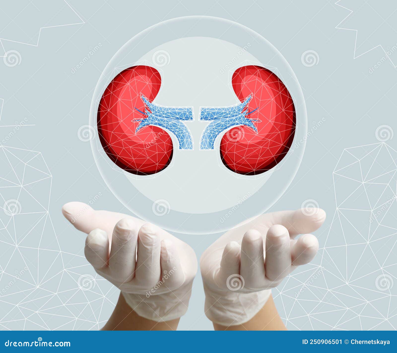 Closeup View of Doctor and Illustration of Kidneys Stock Illustration ...