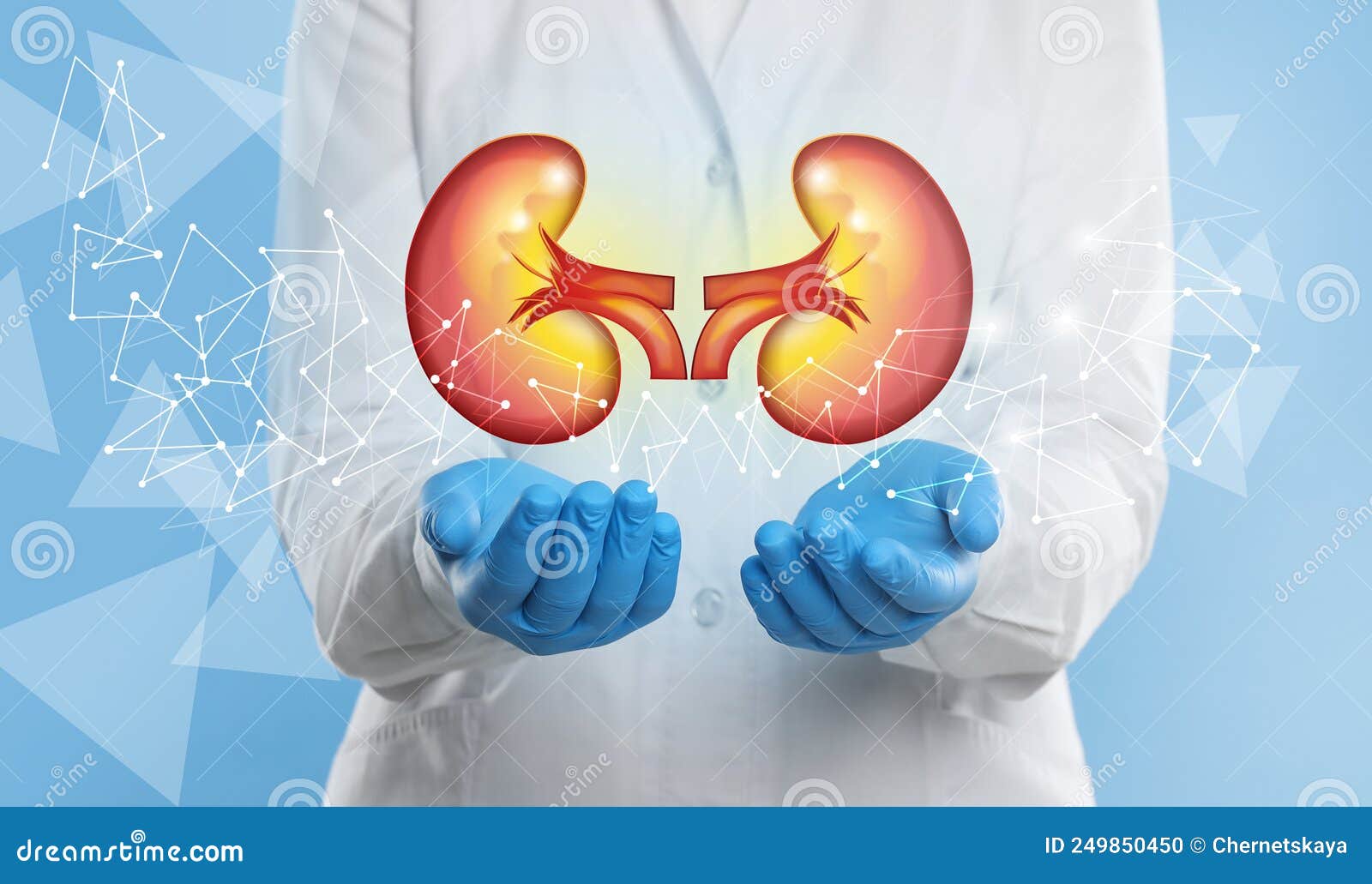 Closeup View of Doctor and Illustration of Kidneys on Light Blue ...