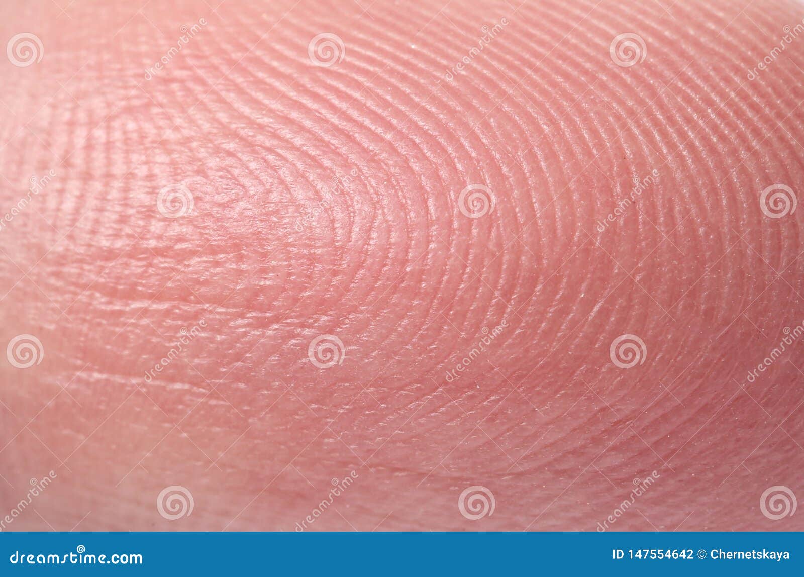 Closeup View of Human Finger Stock Photo - Image of identification ...