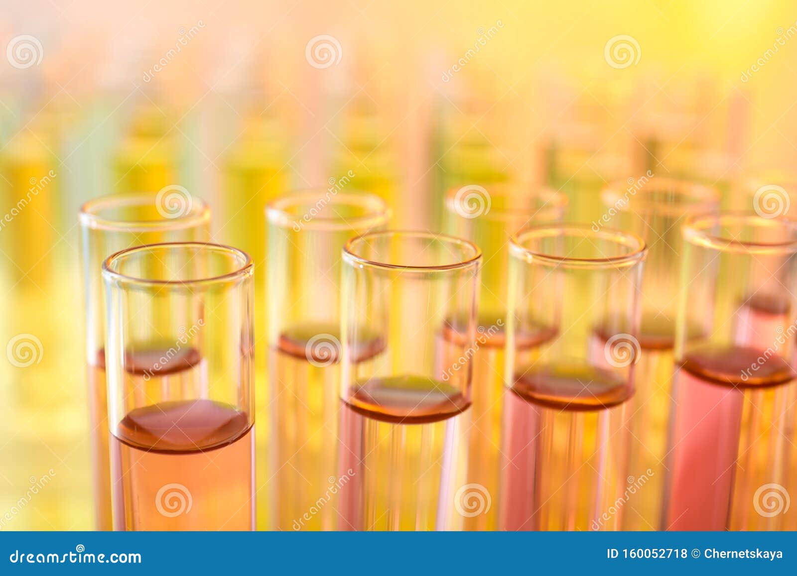 Closeup View of Many Test Tubes with Liquid Stock Photo - Image of ...