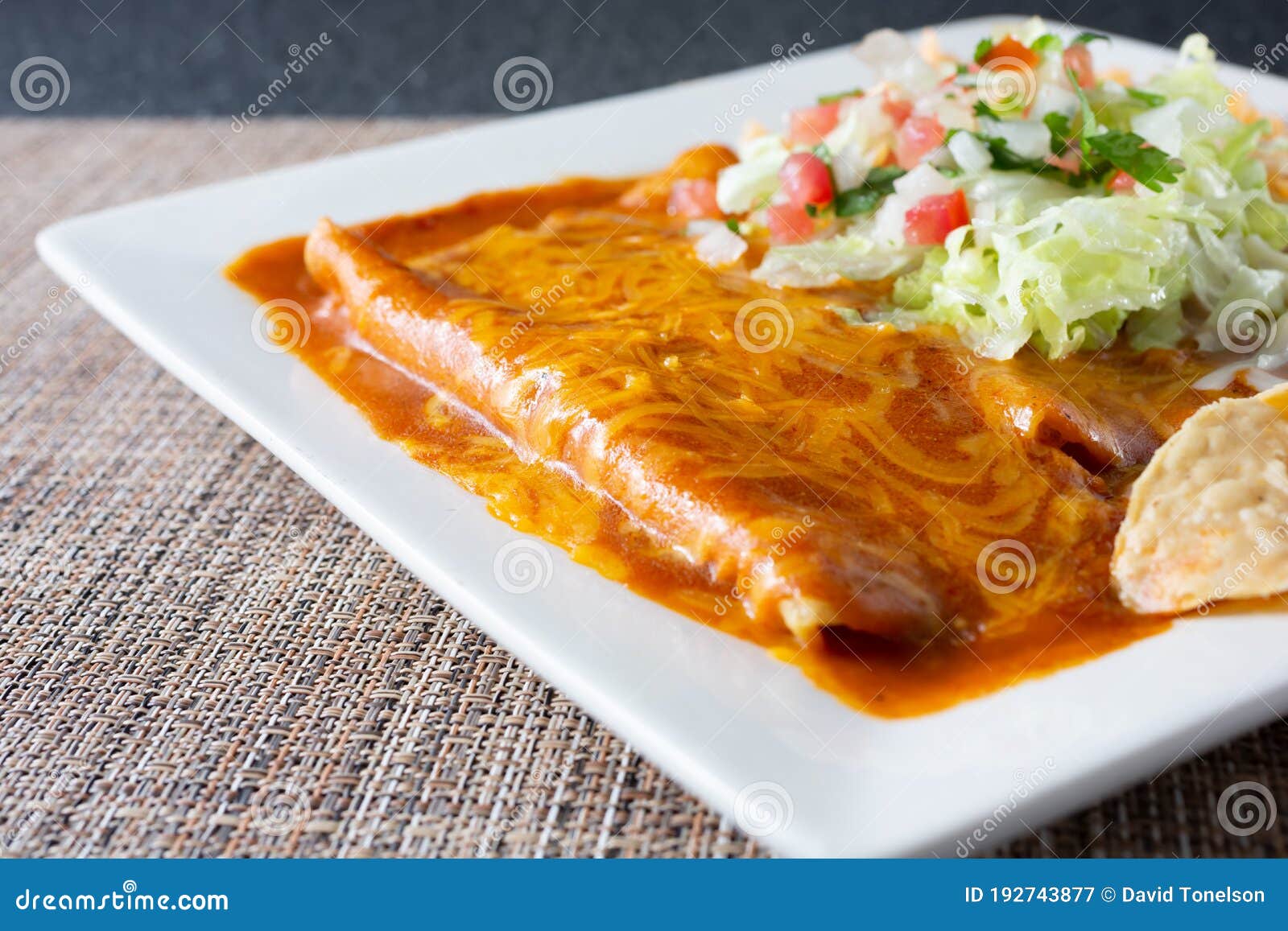 Enchilada plate stock image. Image of copy, text, sauce - 192743877