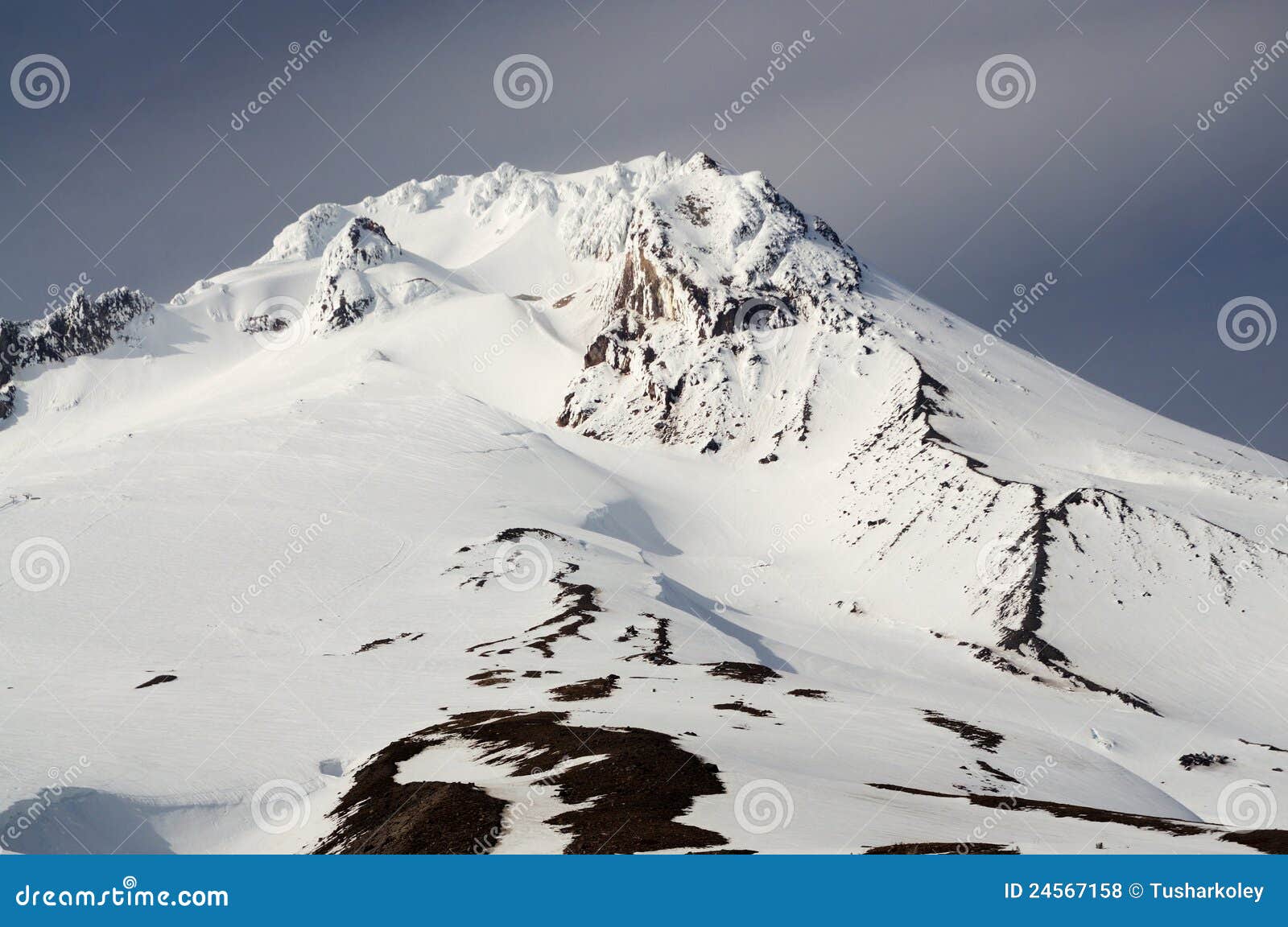 Closeup view of mount hood stock photo. Image of forest - 24567158