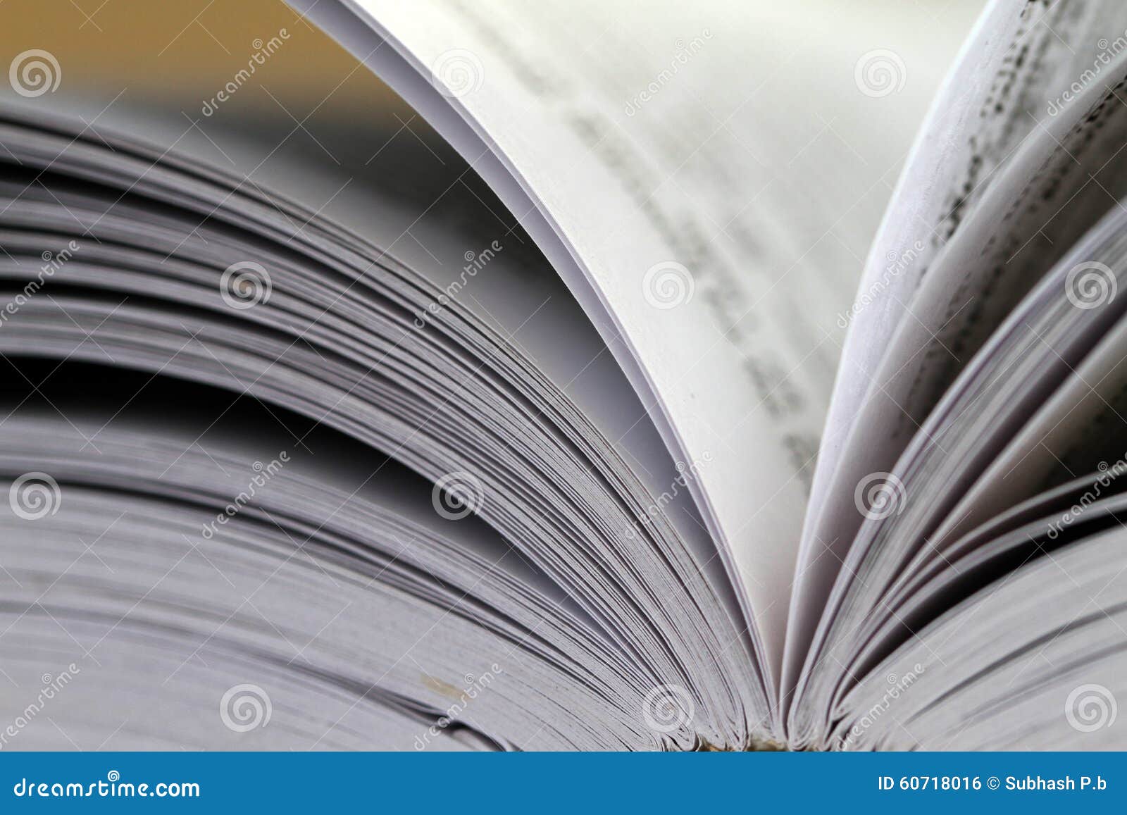 Closeup View of an Open Book Stock Photo - Image of paperback, book ...