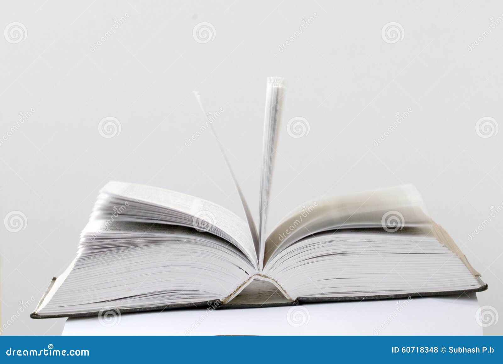 Closeup View of an Open Book Stock Photo - Image of study, paperback ...