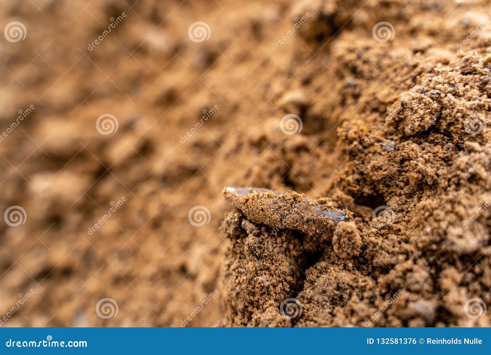 Closeup View of the Shot Bullet with Ballistic Marks in Sands Stock ...