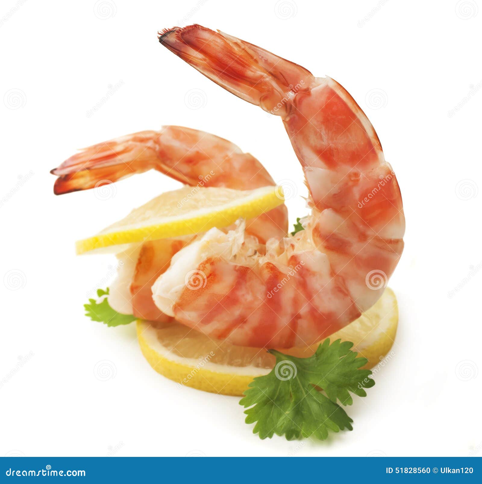 Closeup View of Shrimp Isolated on the White Background Stock Photo ...