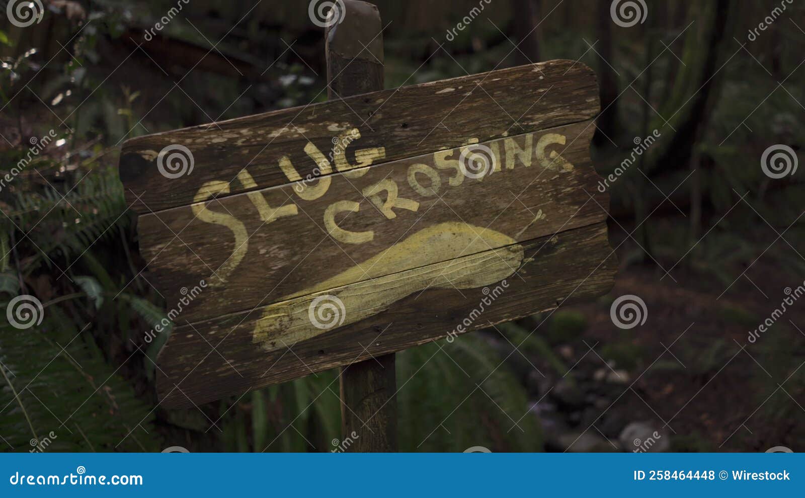 Closeup View of a Slug Crossing Sign Stock Footage - Video of macro ...