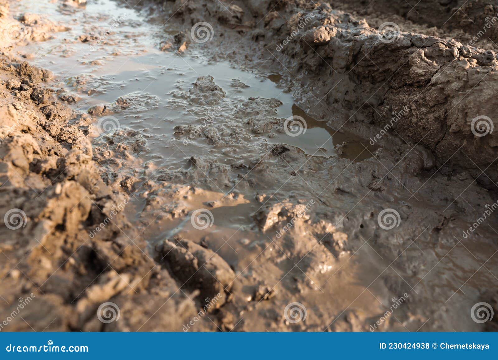 Closeup View of Textured Ground Mud Outdoors Stock Photo - Image of ...